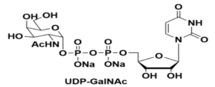 UDP-N-acetylgalactosamine-UDP-GalNAc（UDP-N-乙酰半乳糖胺）_UDP-西安齐岳生物科技有限公司